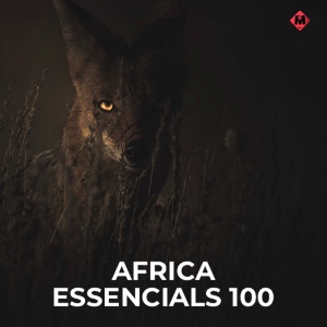 Africa Essentiels 100 : Spotify Playlist [Submit Music Here ...