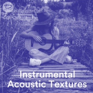 Instrumental Acoustic Textures : Spotify Playlist [Submit Music Here ...