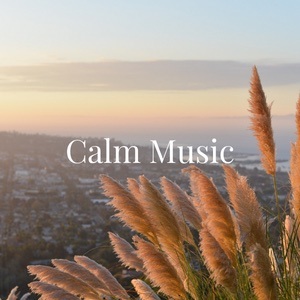 Calm Music : Spotify Playlist [Submit Music Here] • Soundplate.com