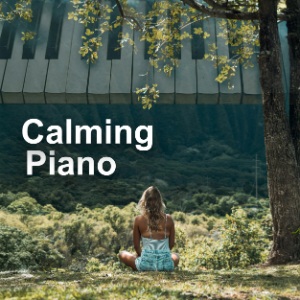 Calming Piano : Spotify Playlist [Submit Music Here] • Soundplate.com