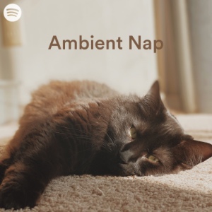 Ambient Nap : Spotify Playlist [Submit Music Here] • Soundplate.com