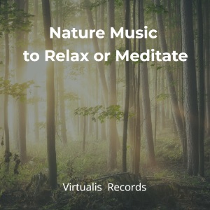 Nature Music to Relax or Meditate : Spotify Playlist [Submit Music Here ...