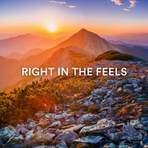Right In The Feels (Melodic House / Techno) : Spotify Playlist [Submit ...
