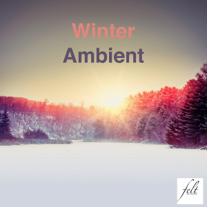 Winter Ambient : Spotify Playlist [Submit Music Here] • Soundplate.com